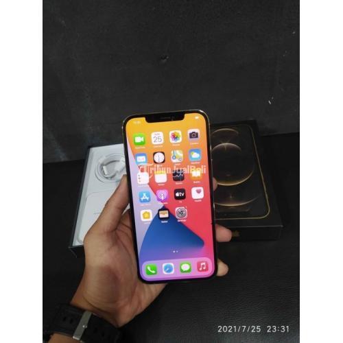 HP iPhone 12 Pro Max 256GB Gold Bekas iCoud Kosong Normal Garansi di ...