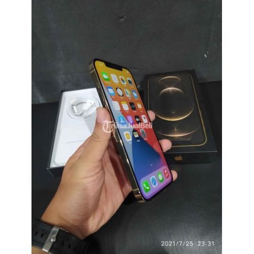 HP iPhone 12 Pro Max 256GB Gold Bekas iCoud Kosong Normal Garansi di ...