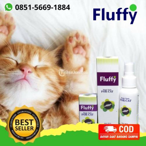 Promo Obat Kutu Kucing Fluffy Tonic di Depok - Tribun JualBeli