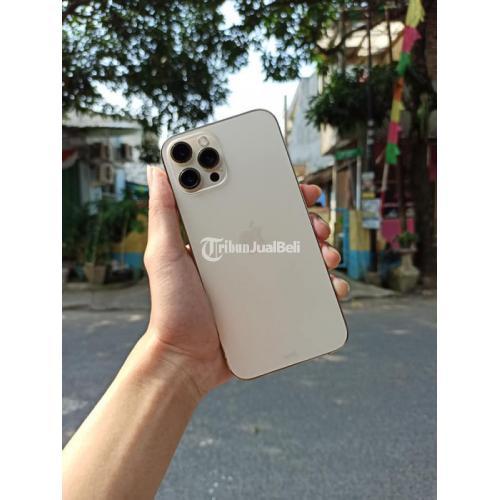 HP iPhone 12 Pro Max 256Gb Resmi iBox Mulus Fullset Normal di Tangerang ...