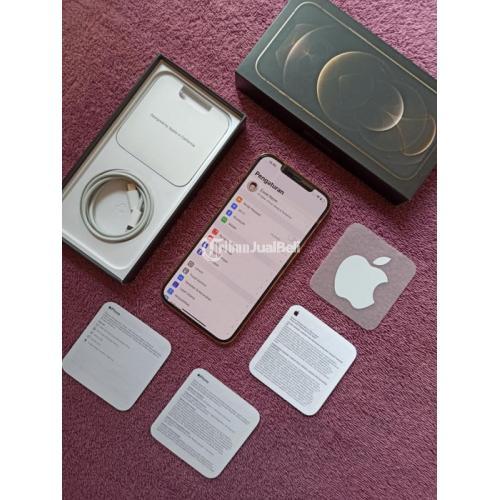 HP iPhone 12 Pro Max 256Gb Resmi iBox Mulus Fullset Normal di Tangerang ...