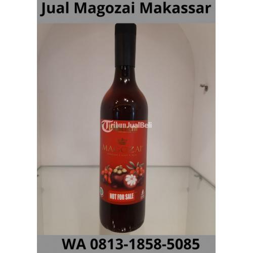 Agen Magozai Gorontalo - Tribun JualBeli
