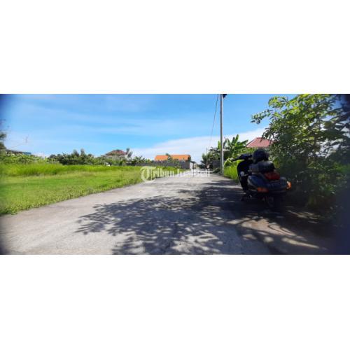 Jual Tanah 485m2 di Area Jl Pakis Aji Dekat Kampus Warmadewa di Denpasar Bali - Tribun JualBeli