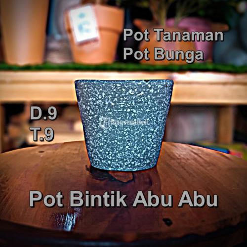 Pot Bintik Tanaman Abu abu Malazza Nursery D 9 T 9 Gerabah di Bekasi ...