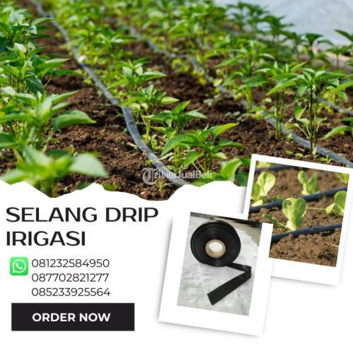 Selang Drip Irigasi Berat 2 Kg Harga Terjangkau di Bangkalan - Tribun ...