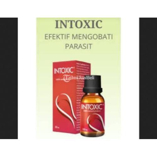 Obat Intoxic Original Cairan Efektif Mengobati Parasit Pembasmi Cacing ...