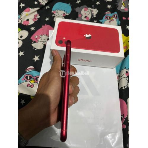 HP iPhone 11 64 GB Bekas Siap Pakai Harga Nego Warna Merah di Sleman ...