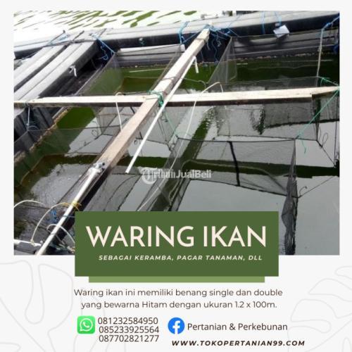 Waring Ikan Berwarna Hitam Kualitas Terbaik di Ambon - Tribun JualBeli