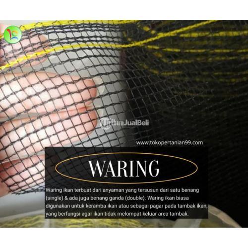 Waring Ikan Berwarna Hitam Kualitas Terbaik di Ambon - Tribun JualBeli