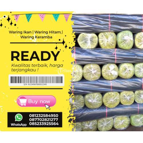 Waring Ikan Berwarna Hitam Kualitas Terbaik di Ambon - Tribun JualBeli