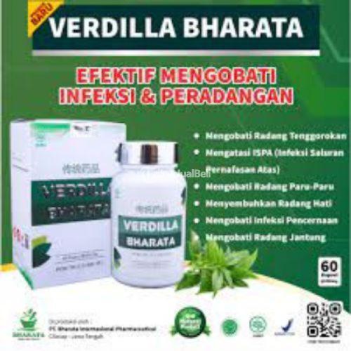 Obat Radang dan Infeksi Verdilla Brarata Helbal Original di Cilacap ...