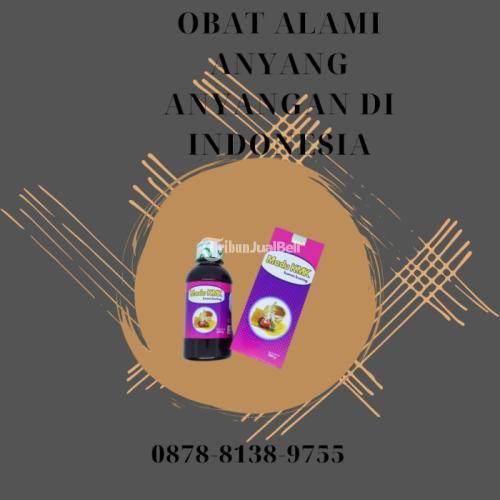 Obat Herbal Anyang Anyangan The Best di Bekasi - Tribun JualBeli