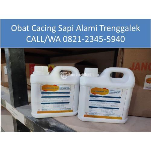 Obat Cacing Sapi Cair Harga Murah di Trenggalek - Tribun JualBeli