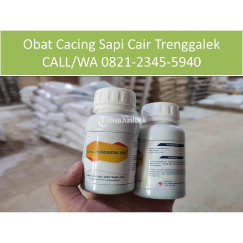Obat Cacing Sapi Cair Harga Murah di Trenggalek - Tribun JualBeli