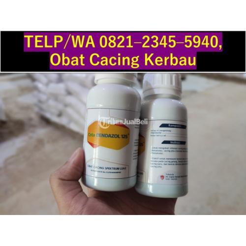 Obat Sapi Cacingan Tradisional di Nganjuk - Tribun JualBeli