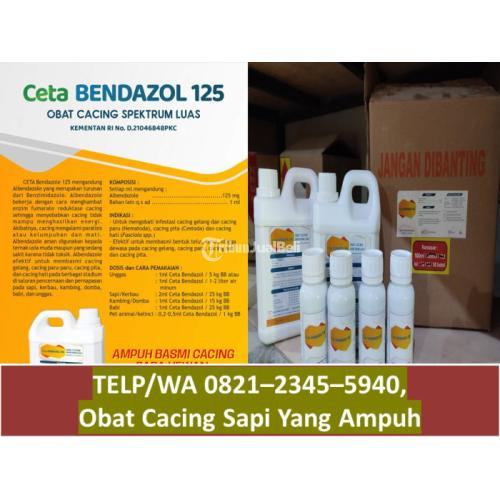 Obat Sapi Cacingan Tradisional di Nganjuk - Tribun JualBeli