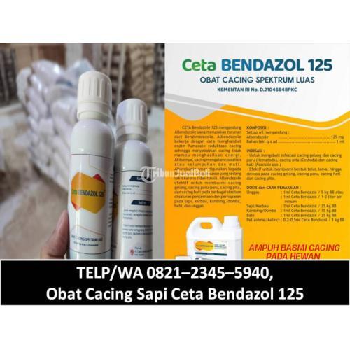 Obat Sapi Cacingan Tradisional di Probolinggo - Tribun JualBeli