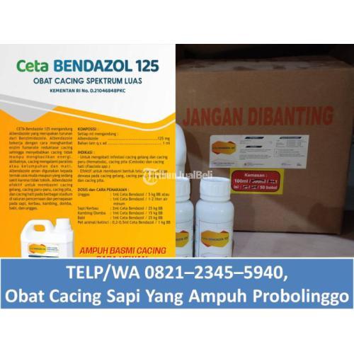 Obat Sapi Cacingan Tradisional di Probolinggo - Tribun JualBeli