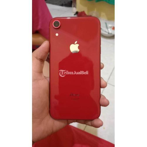HP iPhone XR 64GB Merah Seken Fullset No Minus di Kediri - Tribun JualBeli