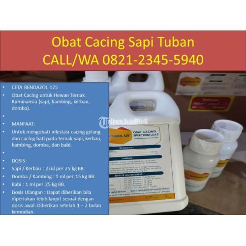 Obat Sapi Cacingan Tradisional di Tuban - Tribun JualBeli