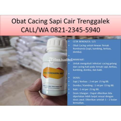 Obat Sapi Cacingan Tradisional di Tuban - Tribun JualBeli
