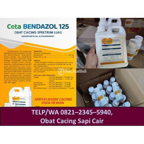 Obat Cacing Sapi Paling Ampuh di Malang - Tribun JualBeli