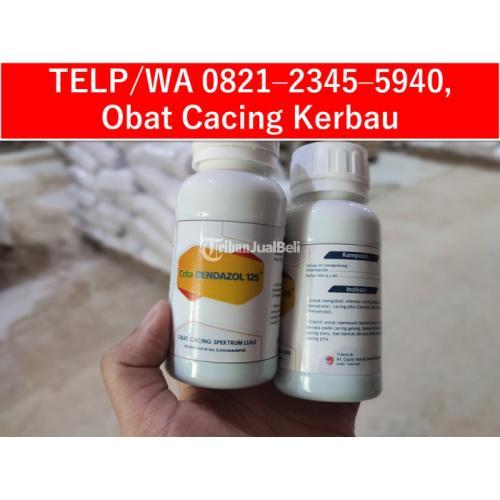 Obat Cacing Kambing Ceta Bendazol 125 di Malang - Tribun JualBeli
