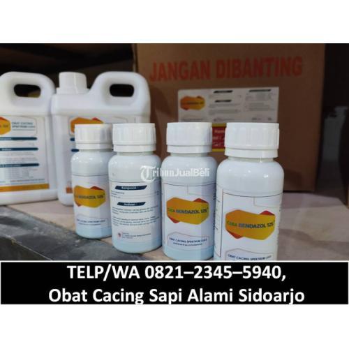 Obat Cacing Sapi Ceta Bendazol 125 di Sidoarjo - Tribun JualBeli