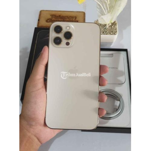 HP iPhone 12 Pro Max 128GB Gold Seken Fullset Siap Pakai di Malang ...