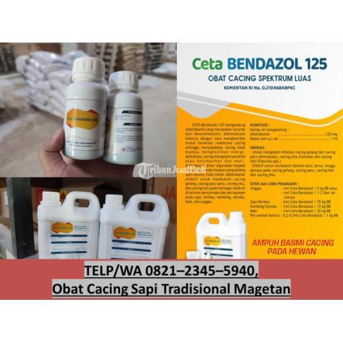 Obat Sapi Cacingan Tradisional Harga Murah di Magetan - Tribun JualBeli