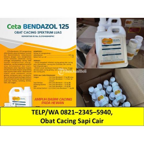 Obat Sapi Cacingan Tradisional di Madiun - Tribun JualBeli