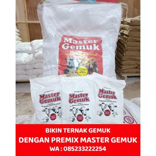 Master Gemuk Vitamin Suplemen Premix Penggemuk dan Nafsu Makan Pakan ...
