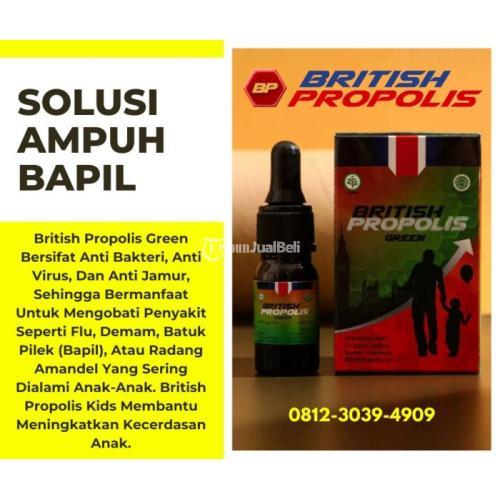 Solusi BAPIL untuk Anak Anak British Propolis Green di Blitar - Tribun ...