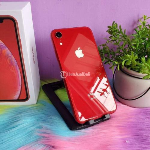 HP iPhone XR 64GB Merah Seken Fullset Siap Pakai di Bantul - Tribun ...