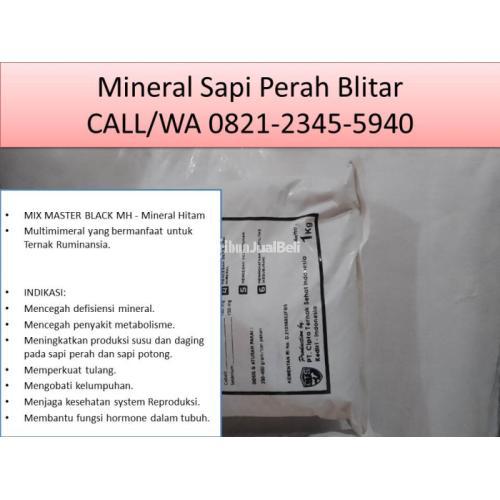 Mineral Sapi Potong Mix Master Black MH di Blitar - Tribun JualBeli