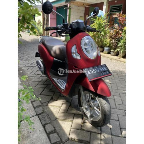 Motor Honda Scoopy 2021 Bekas KM Rendah Mulus Terawat Surat Lengkap di ...