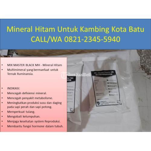Mineral Hitam untuk Sapi Harga Murah di Batu - Tribun JualBeli