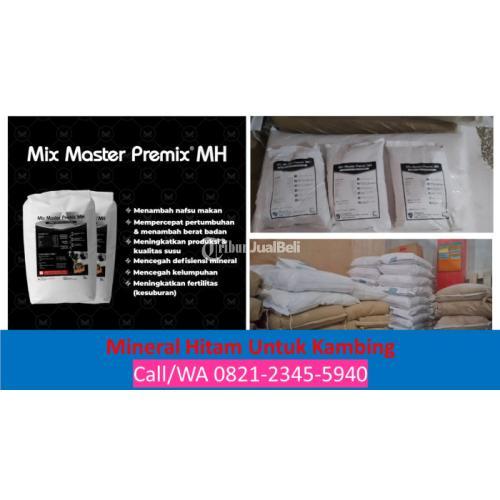 Mix Master Black MH Mineral Sapi Potong Situbondo di Probolinggo ...