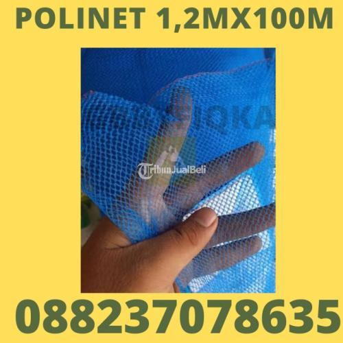 Polinet Biru umtuk Melindungi Tanaman di Surabaya - Tribun JualBeli