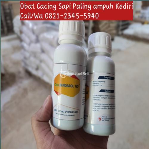 Obat Cacing Sapi Dan Kambing di Kediri - Tribun JualBeli