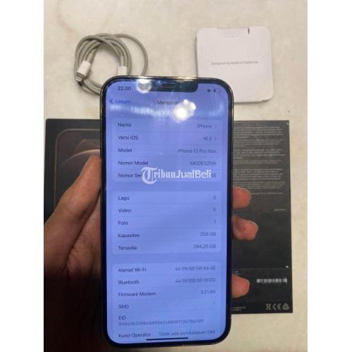 HP iPhone 12 ProMax 256gb Gold Mulus Siap Pakai di Surabaya - Tribun ...