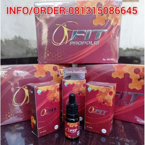 Propolis Fit 1 Box Isi 10 ml Sudah BPOM Mempercepat Proses Penyembuhan ...