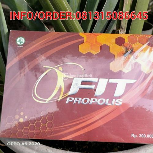 Propolis Fit 1 Box Isi 10 ml Sudah BPOM Mempercepat Proses Penyembuhan ...