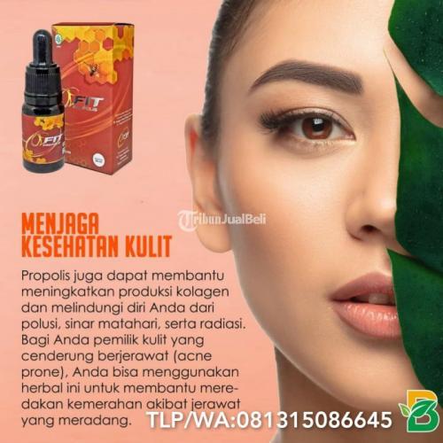 Fit Propolis Nano Teknologi BPOM 1 Box Isi 3 Botol di Makassar - Tribun ...