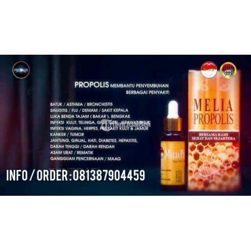Melia Propolis 6ml Original 1 Box Isi 7 Btl BPOM Bisa Dikonsumsi Semua ...