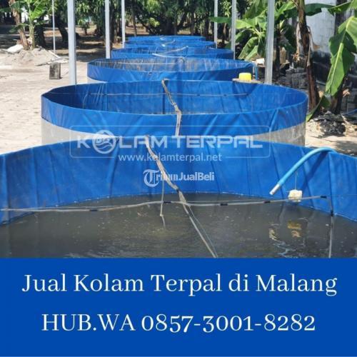 Pabrik Kolam Terpal Lele Terbesar di Malang - Tribun JualBeli