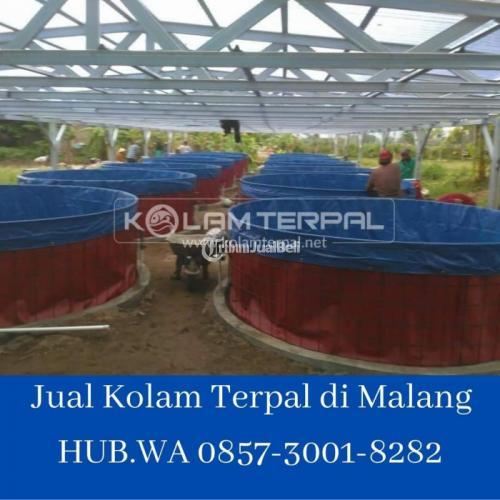Agen Kolam Terpal Lele Terpercaya - Tribun JualBeli