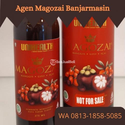 Distributor Resmi Magozai di Samarinda - Tribun JualBeli