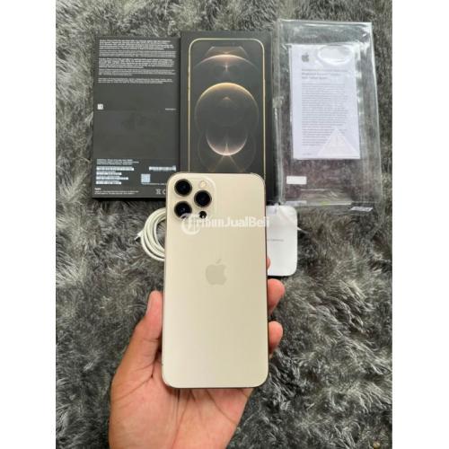 HP iPhone 12 Pro Max 256GB Gold Fullset Ex iBox Mulus Bisa TT di ...