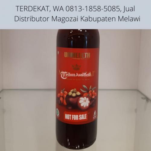 Magozai Kabupaten Melawi - Tribun JualBeli
